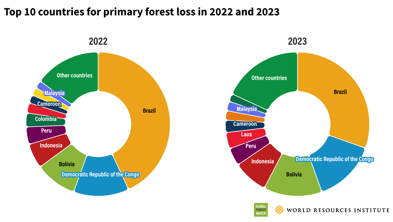 How much forest was lost in 2023? | World Resources Institute Research